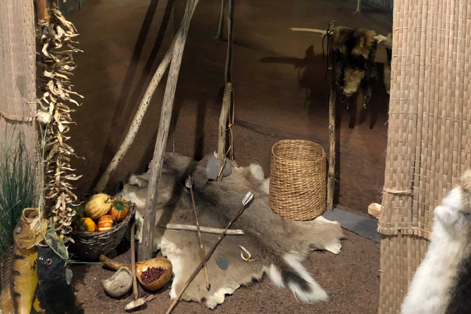 Woodland Period Exhibit - Museum of the Middle Appalachians